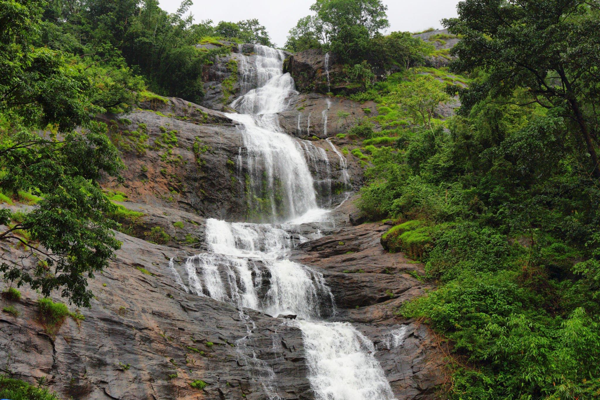 Kerala Flight Included LetsPlanOut Tours Kerala Flight Included LetsPlanOut Tours